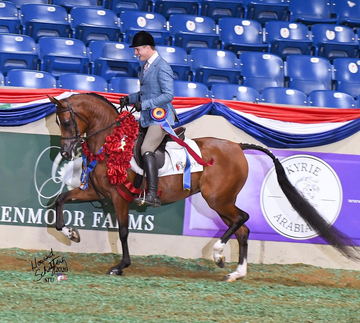 2025 USN Saddle Silk | Arabian Hunter Pleasure Association