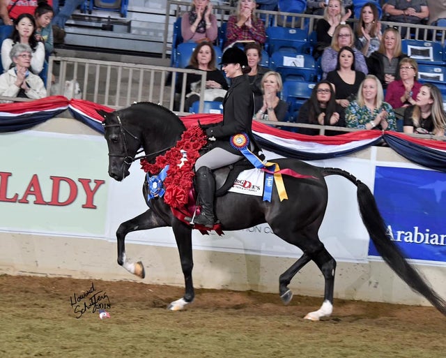 Sponsorships | Arabian Hunter Pleasure Association